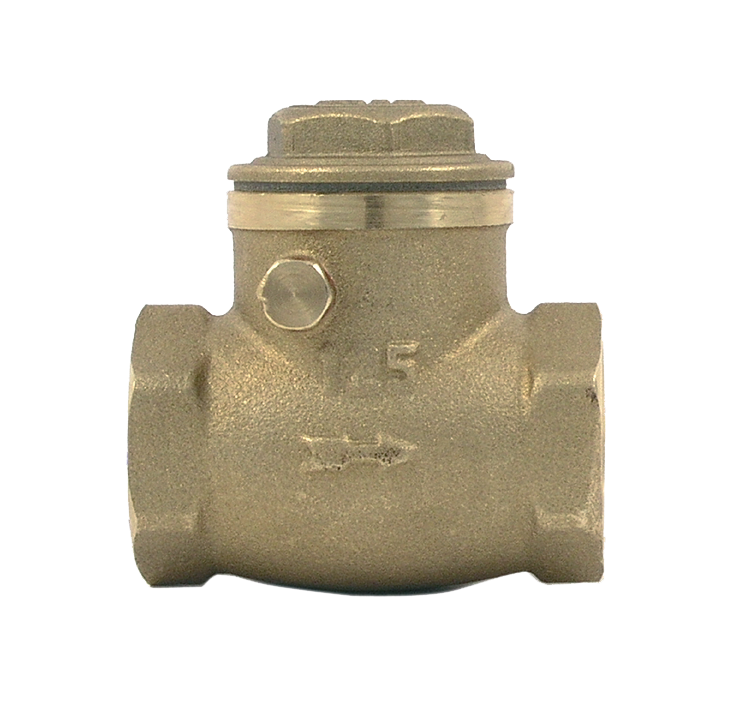 1" Non Return Valve Swing Check Fi